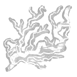 Dbd Skill Check Simulator